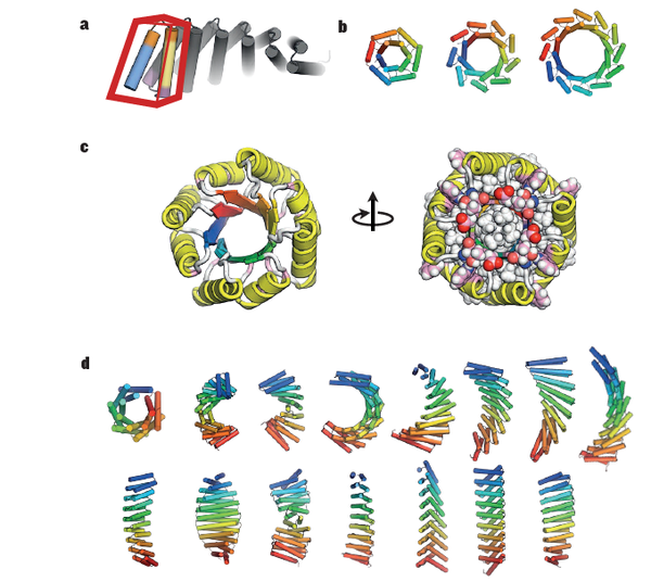 De Novo Protein Design 从头蛋白质设计时代的到来 - 知乎