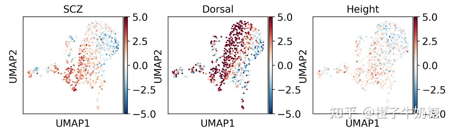 Post-GWAS： single-cell disease relevance score (scDRS) 分析 - 知乎