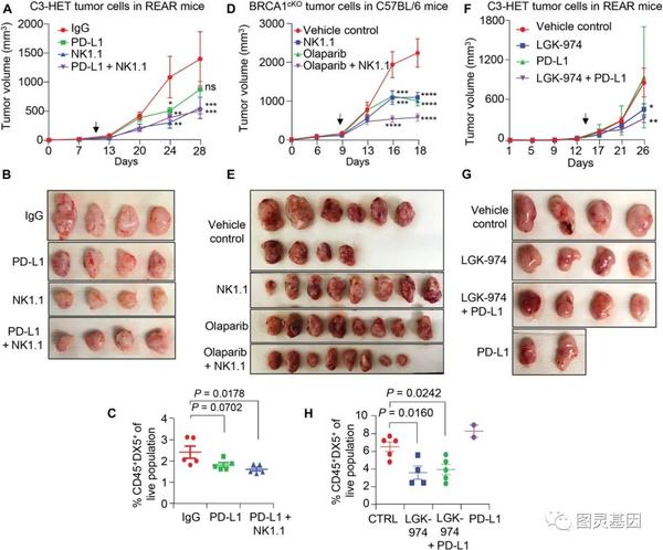 Sci Tra Med | 未成熟的自然杀细胞促发三阴性乳腺癌 - 知乎