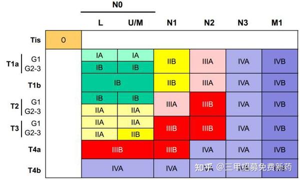 食管癌 TNM 分期，对治疗非常重要，您了解多少？ - 知乎