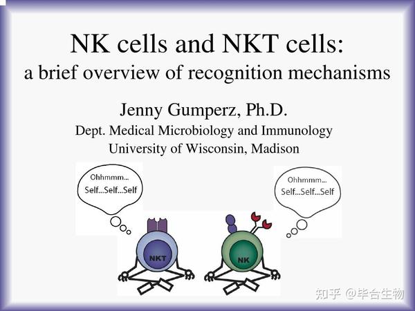 NK与NKT细胞的异同 - 知乎