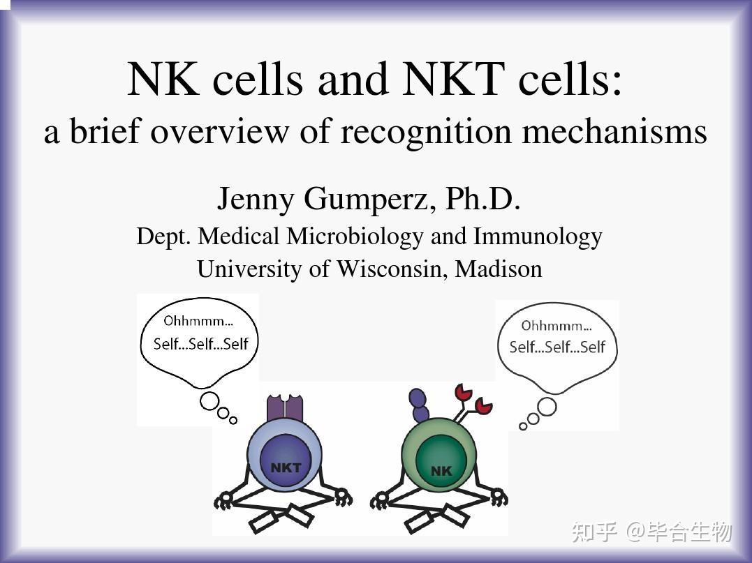 NK与NKT细胞的异同 - 知乎