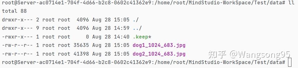 AscendCL应用使用Profiling工具进行性能调优 - 知乎