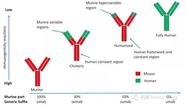 单克隆抗体“蜕变记” - 知乎