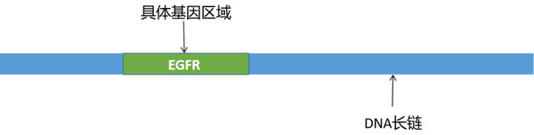 基因检测的测序深度，是越高越好吗？ - 知乎