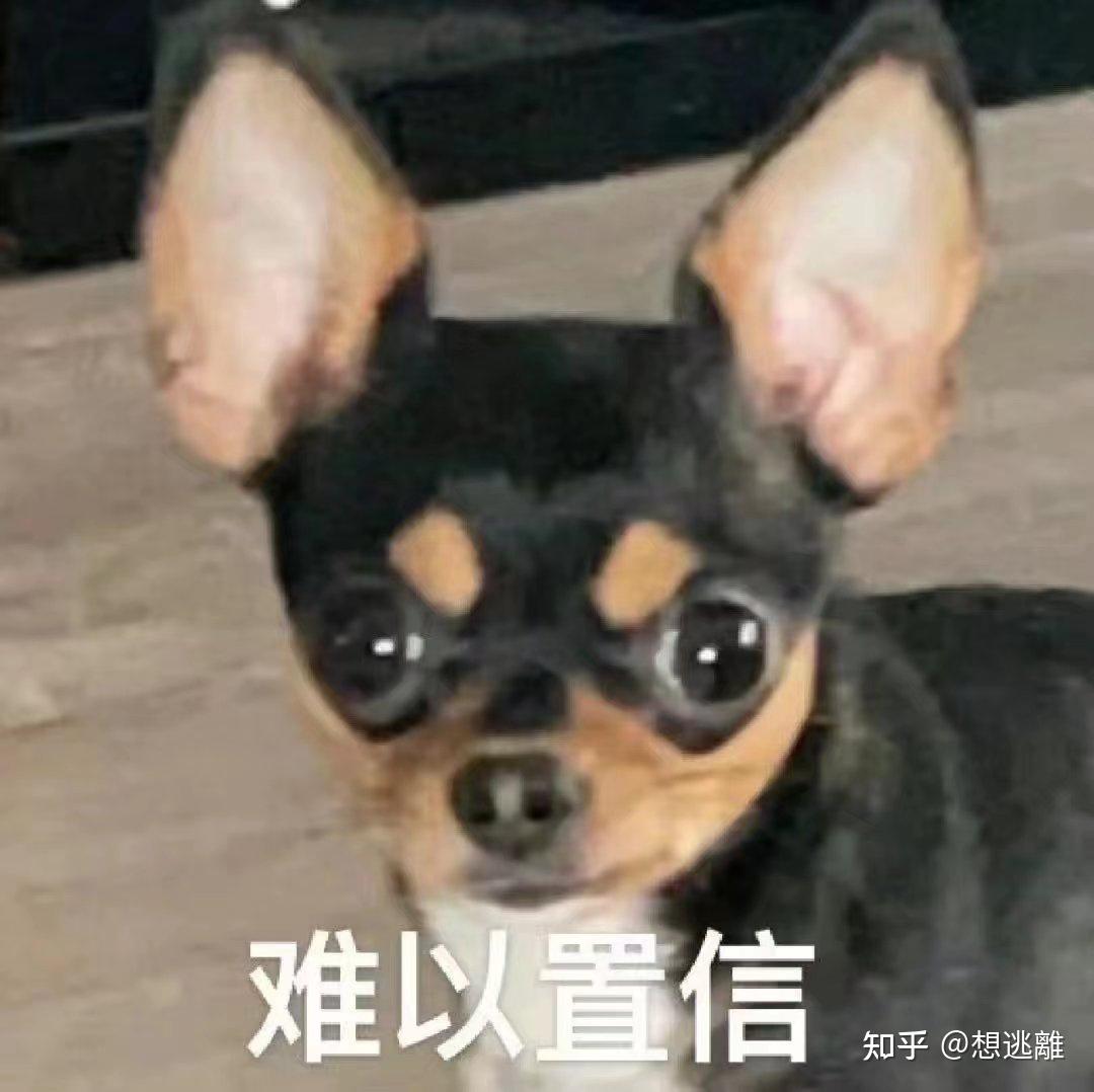 斗图必备搞笑表情包|啊对对对 你说的都对 - 知乎