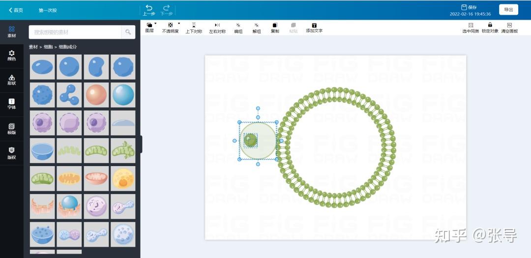 如何实现科研绘图自由？Figdraw这款绘图神器你一定要get！ - 知乎