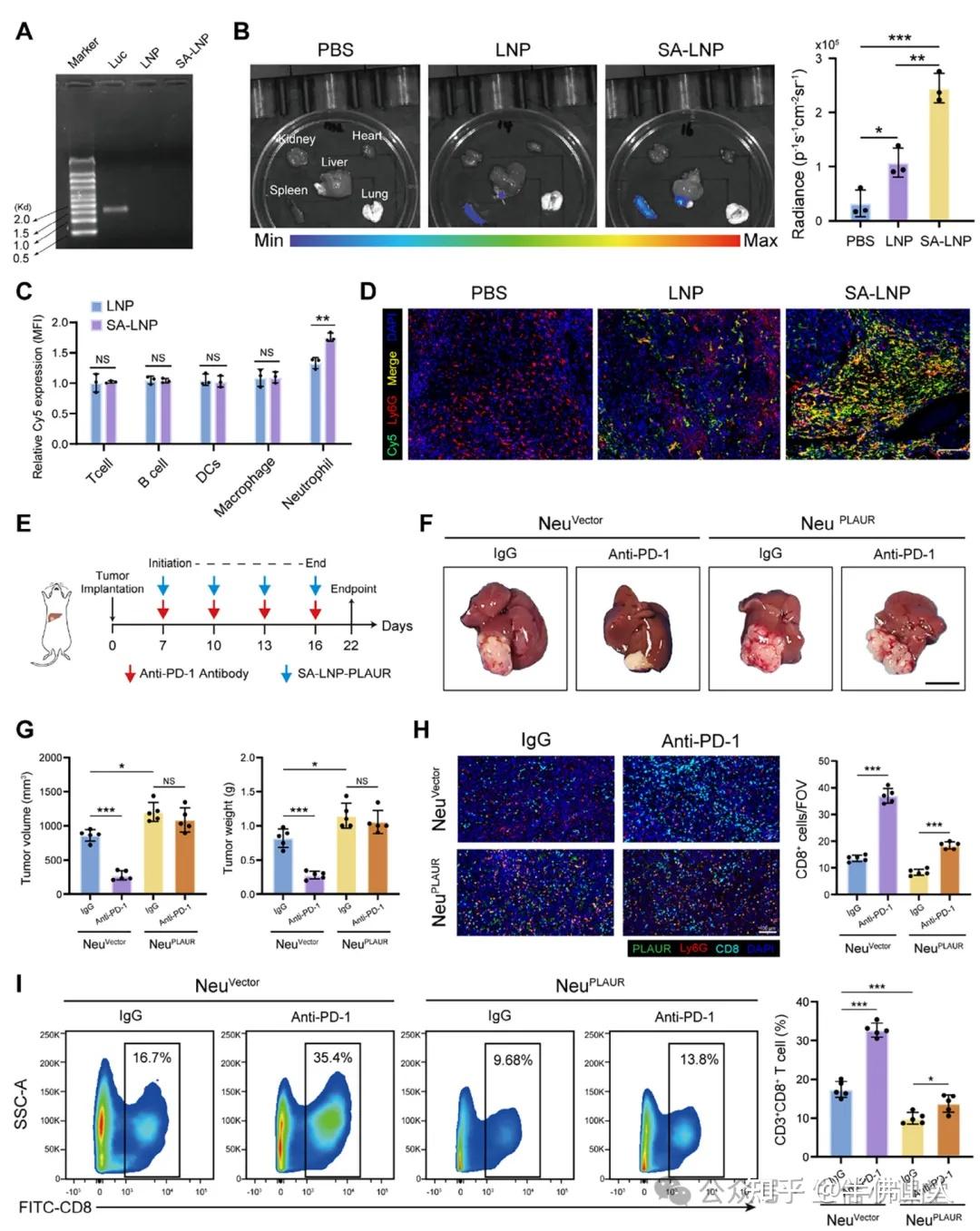 最新14+生信，单细胞识别PLAUR+中性粒细胞塑造免疫抑制微环境，抑制PLAUR 增强抗 PD1 疗效。高分文章经典思路！ - 知乎