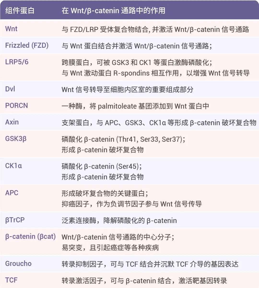 过度激活 Wnt 通路，"反杀" 癌细胞！| MCE - 知乎