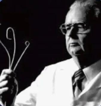 年入53亿的血管介入行业先驱 | 康蒂思Cordis - 知乎