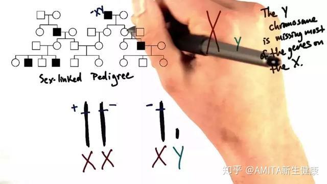 “XXY” or “XYY”：带你走进真实的“第三性别”群体 - 知乎