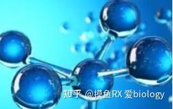HRP-conjugated Avidin，Avidin-HRP，辣根过氧化物酶标记亲和素 - 知乎