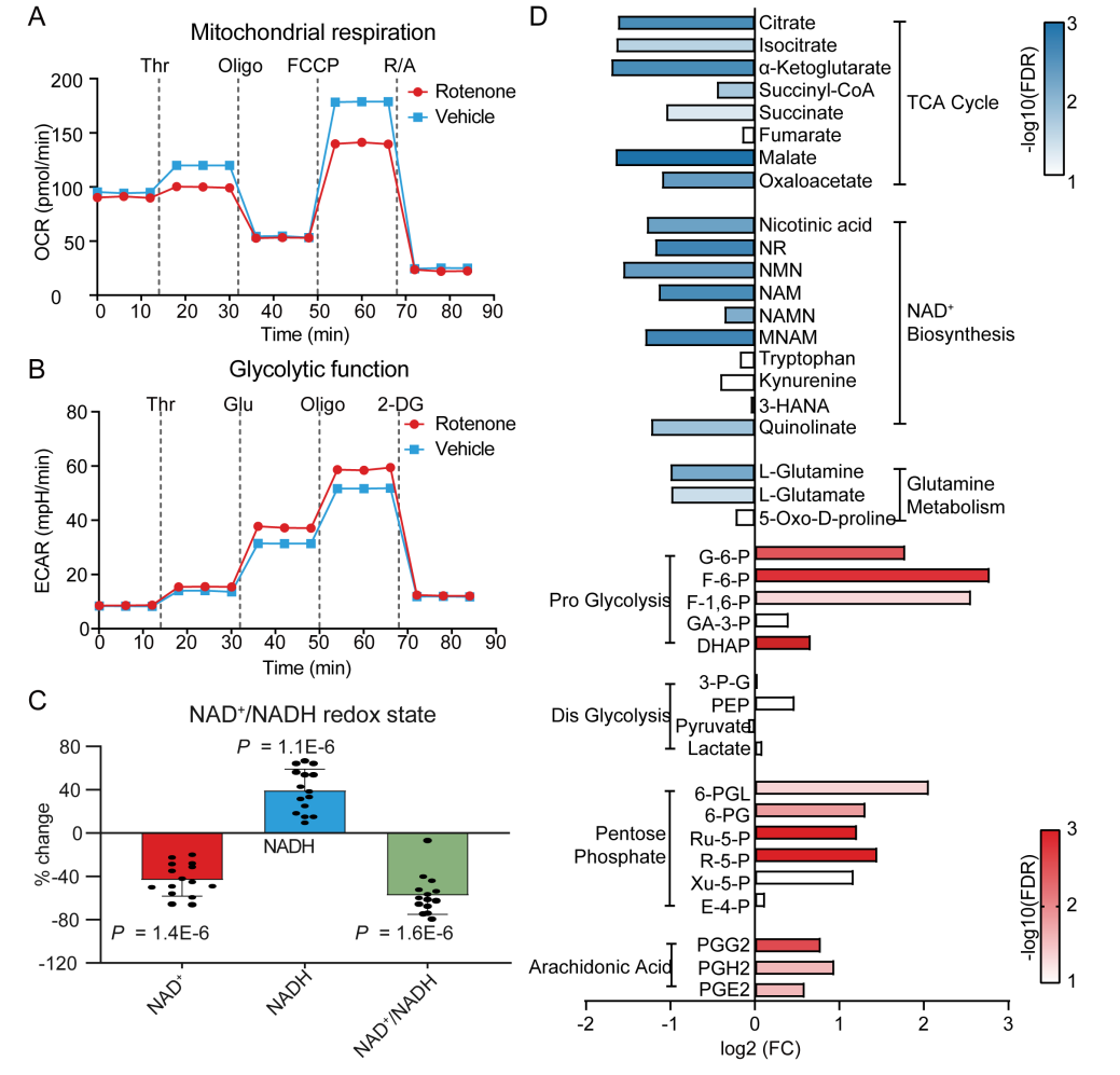 Redox Biol︱王雪玢团队揭示2型糖尿病合并晚期支架内血栓的血小板能量组和代谢组特征 - 知乎