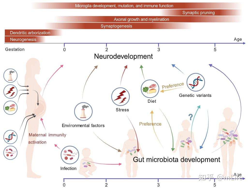 mLife专题推送 | 微生物组 - 知乎