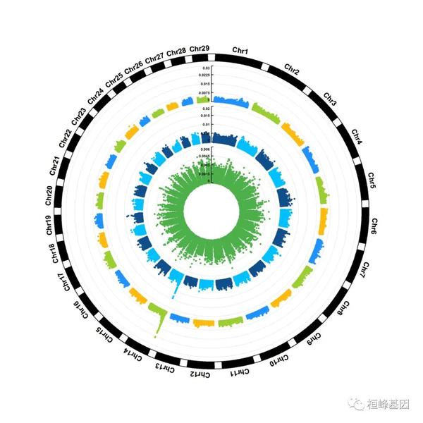 DNA 12. SCI 文章绘图之全基因组关联分析可视化(GWAS) - 知乎