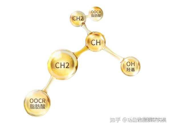 MCT、DAG、MLCT和CLA都能减脂，该怎么选？ - 知乎