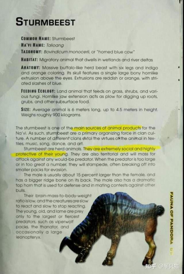 解密《阿凡达》生物档案：它们的设计合理吗？ - 知乎