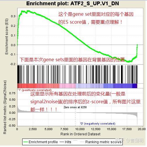 GSEA确实搭配热图后更直观易懂 - 知乎