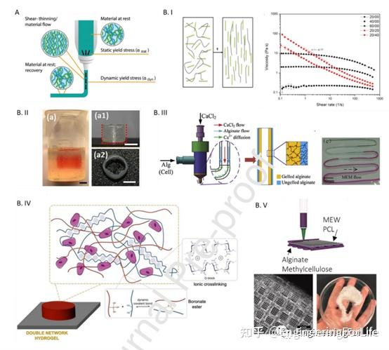 《Carbohyd. Polym.》综述：藻酸盐多糖水凝胶助力3D生物打印 - 知乎