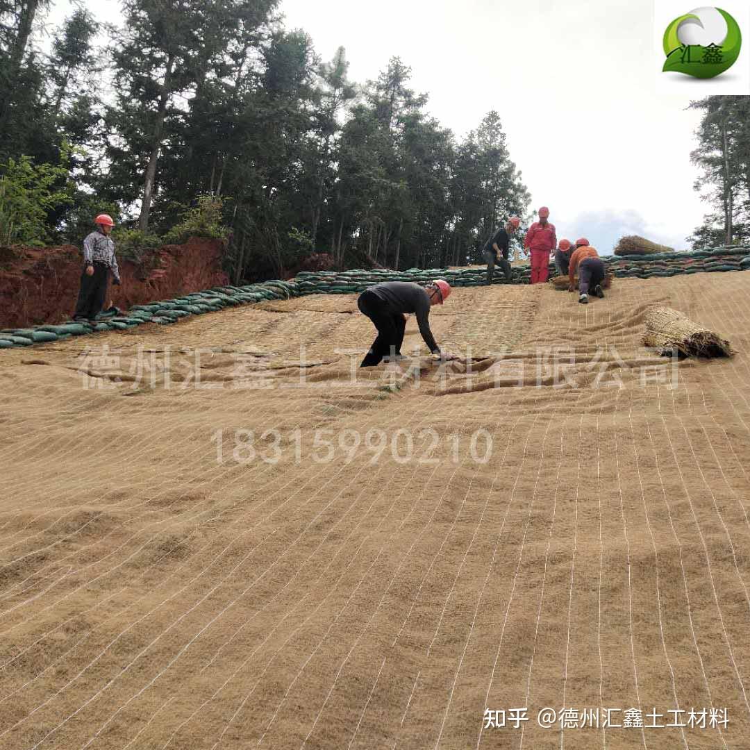 植生毯快速施工的方法 知乎