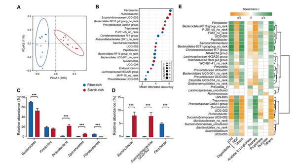 ISME|不同饮食选择驱动反刍动物瘤胃微生物氢代谢 - 知乎