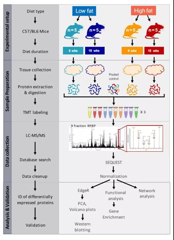 技术介绍 | iTRAQ/TMT标记定量蛋白质组研究 - 知乎