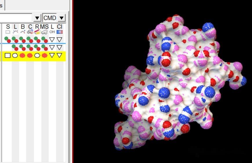 采用PyRx-Vina, DS和PyMol进行对接和分析结果 - 知乎