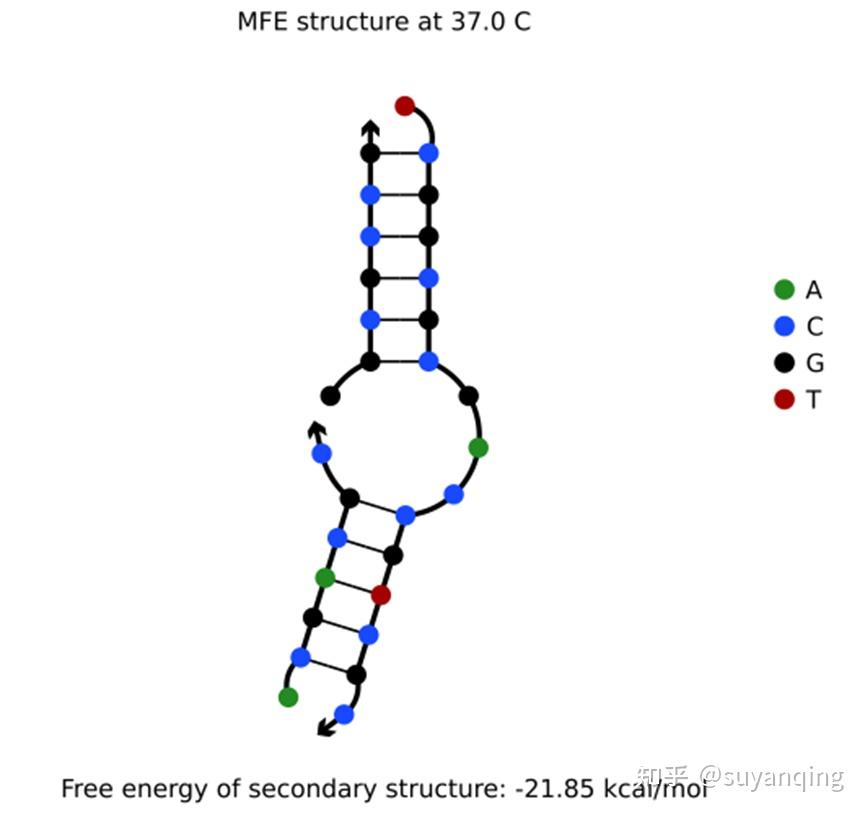 NUPACK网页版使用指南 - 知乎