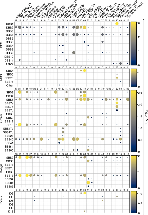Nature | 绘制染色质外DNA的APOBEC3聚集突变图揭示癌症进化与预测生存 - 知乎