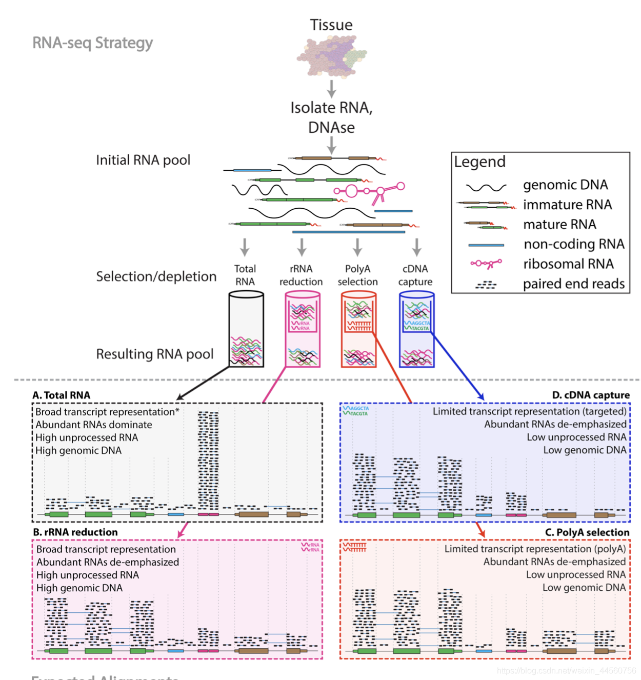 转录组测序（RNA-seq）详细建库步骤与原理 - 知乎