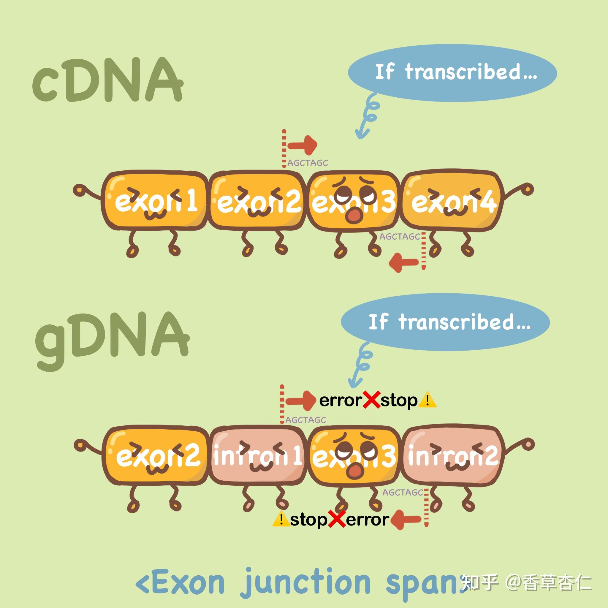 简单5步设计qPCR引物 - 知乎