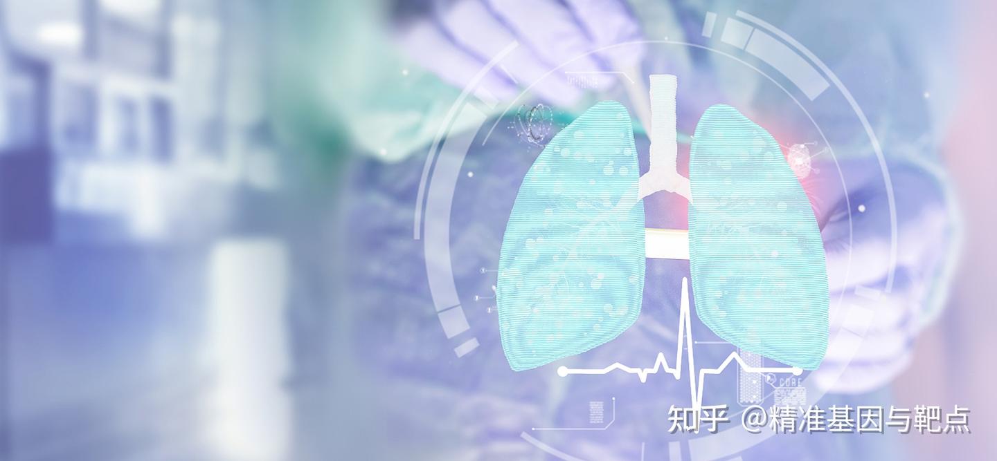 第四代肺癌EGFR靶向药盘点，多家药企入局，能否延续第三代EGFR-TKI传奇？ - 知乎