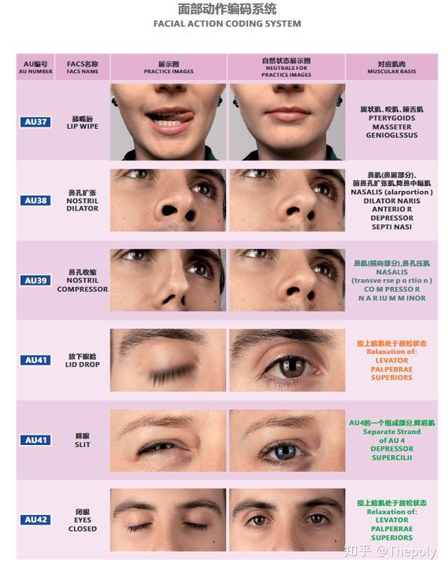 FACS丨面部表情编码系统3 - 知乎
