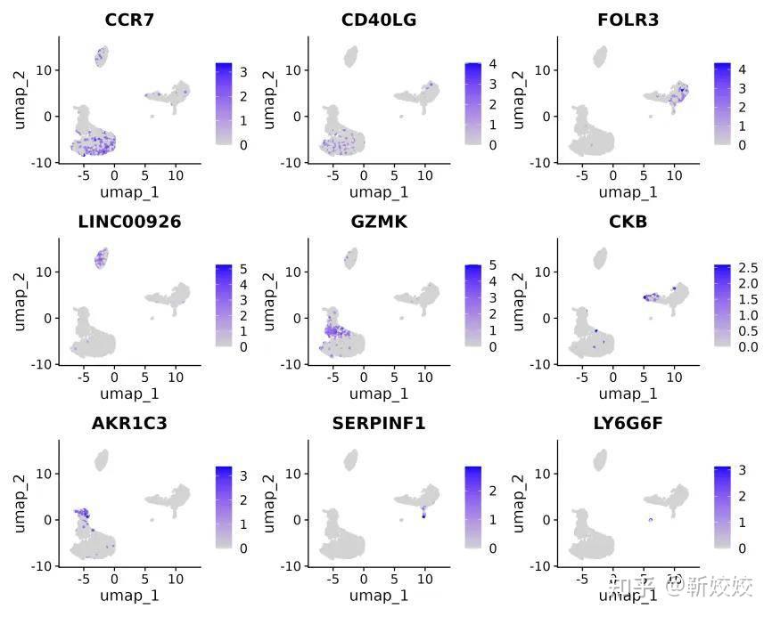 实用指南丨用Seurat包和SingleR包进行单细胞测序数据分析 - 知乎