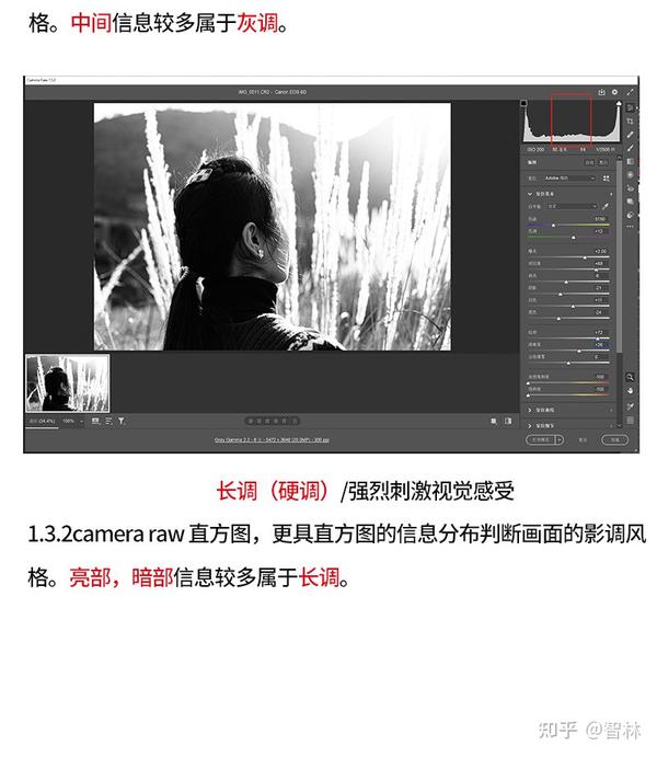 了解camera raw 直方图 - 知乎