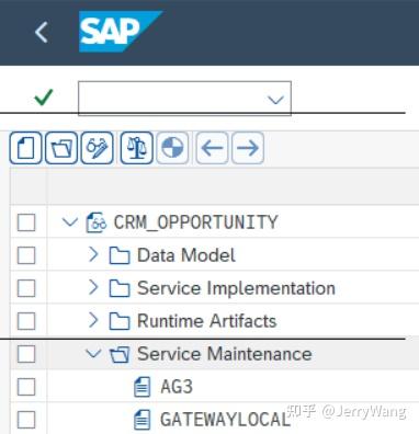 SAP Gateway Service Builder 里 Project 的概念 - 知乎