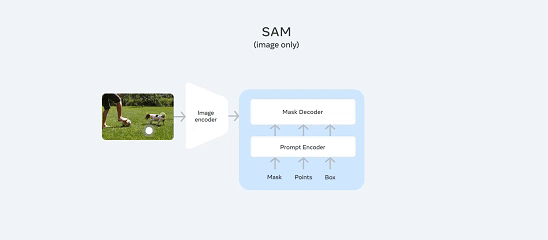 Segment Anything 2 (SAM2) in X-AnyLabeling: 构建快速精准的图像和视频标注对象分割工具 - 知乎