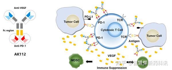 PD-1多靶点药物研发进展一览 - 知乎