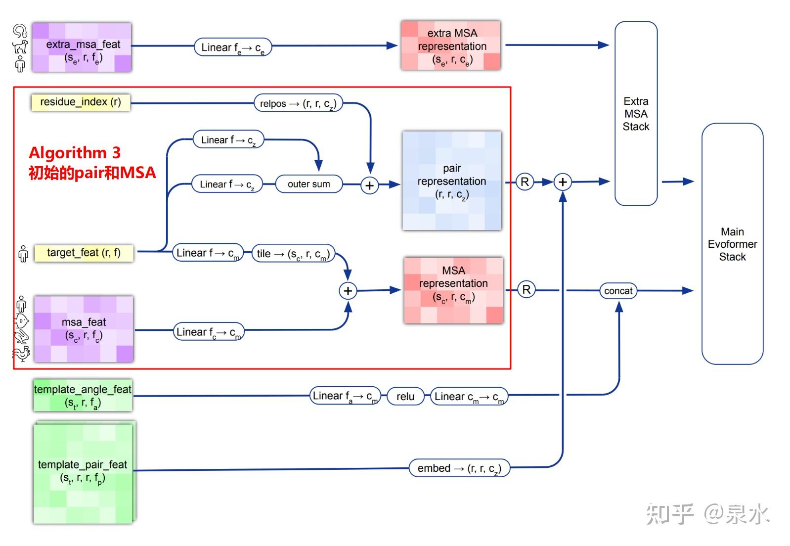 AlphaFold2详解（五）：Embedding，模型空间的特征表示 - 知乎