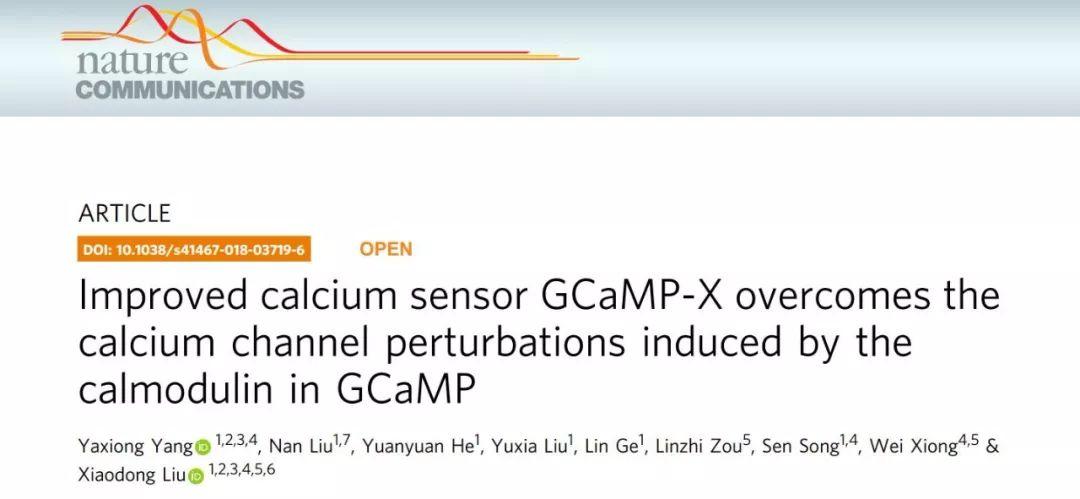 新一代无损伤钙离子探针“GCaMP-X” - 知乎