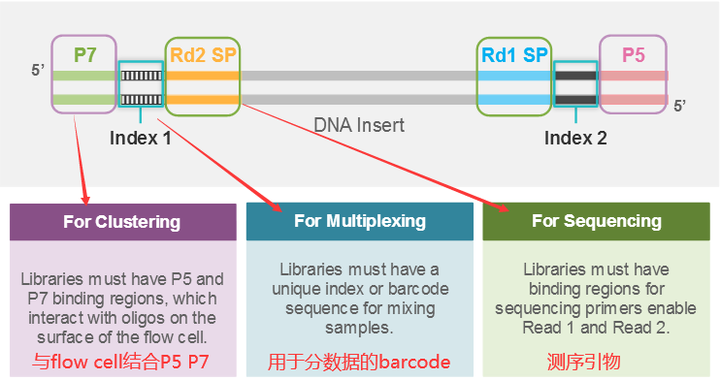 NGS测序基础01-文库构建（Library Preparation） - 知乎