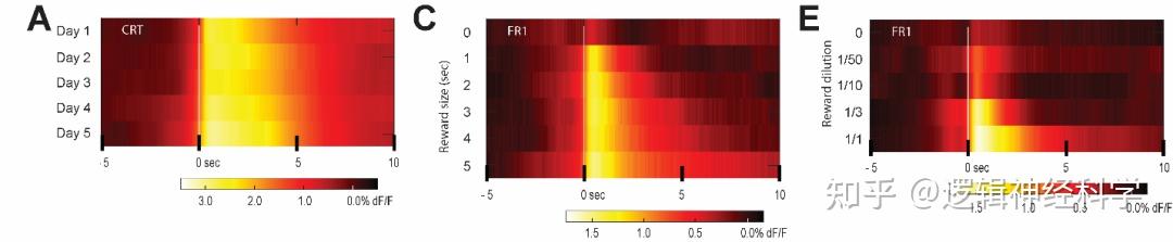 Sci Adv︱耶鲁大学Marina Picciotto团队重新解析大脑对奖赏信息的处理 - 知乎