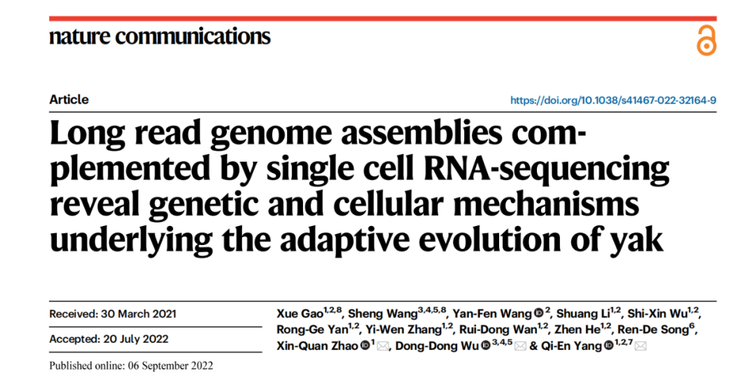 Nature Communications最新项目文章 | 单细胞转录组测序结合基因组组装揭示牦牛适应性进化的遗传和细胞机制 - 知乎