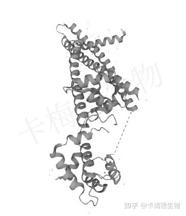 心肌肌钙蛋白T（cTnT）介绍 - 知乎