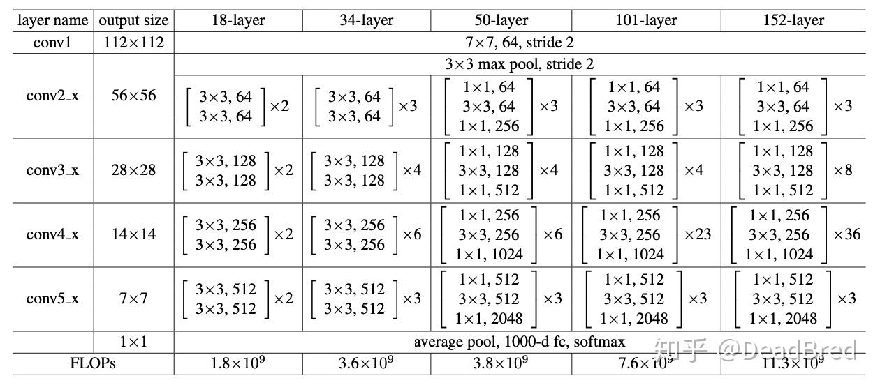 ResNet 和 ResNeXt - 知乎