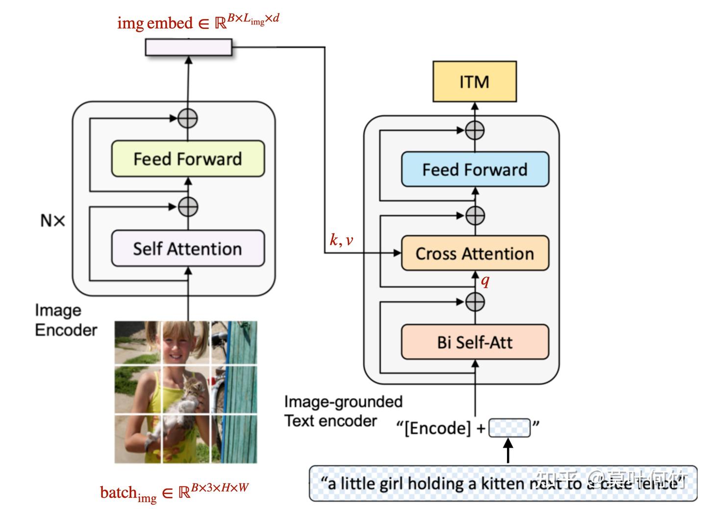 BLIP系列文章小结（BLIP, BLIP-2, InstructBLIP） - 知乎