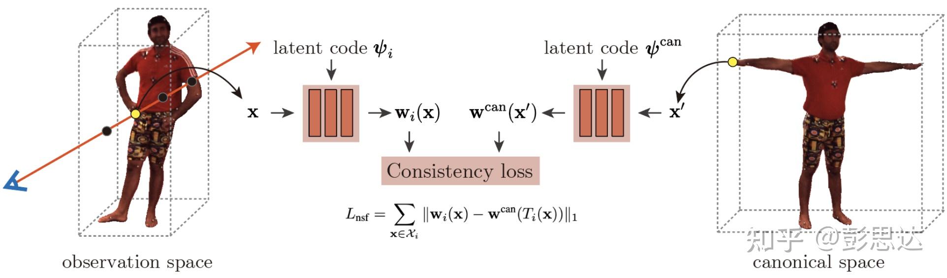 浙大三维视觉团队提出Animatable NeRF，从RGB视频中重建可驱动人体模型 (ICCV'21) - 知乎