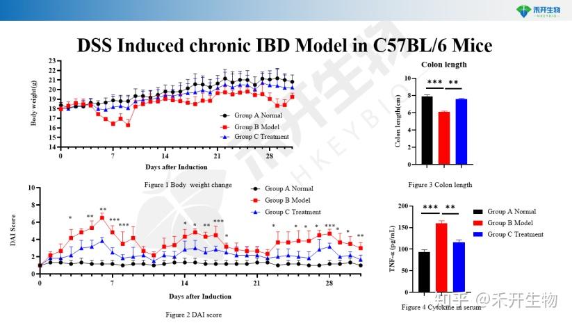 小禾说 | 自身免疫疾病靶点与模型系列(7)——IL-23自身免疫疾病治疗的持久战 - 知乎