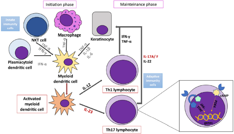 生物分析 | 生物标志物在临床生物分析中的分析策略及案例分享 - 知乎