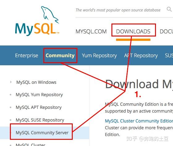 mac下mysql的安装步骤 - 知乎